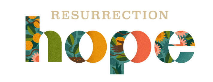 Home | The Village Church